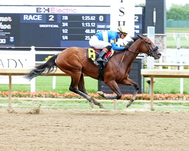 Kara and Colleen - Horse Profile - BloodHorse