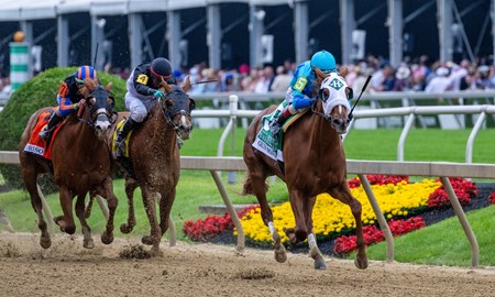 Gun Song - Horse Profile - BloodHorse