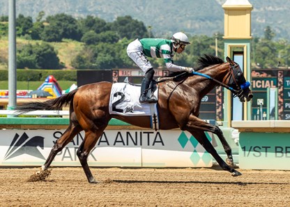 Tapalo - Horse Profile - BloodHorse