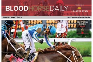BloodHorse: Thoroughbred Horse Racing, Breeding, and Sales News, Data ...