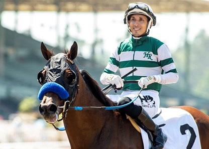 Tapalo - Horse Profile - BloodHorse