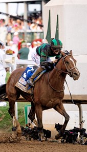 Mystik Dan - Horse Profile - BloodHorse