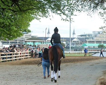 Fierceness - Horse Profile - BloodHorse