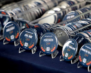 Fierceness - Horse Profile - BloodHorse