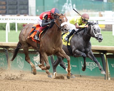 Nay V Belle - Horse Profile - BloodHorse