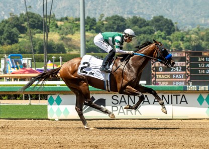 Tapalo - Horse Profile - BloodHorse