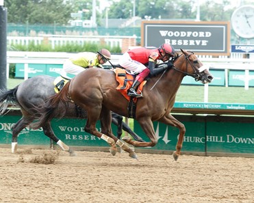Nay V Belle - Horse Profile - BloodHorse