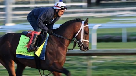 3 Things You Might Not Know About: Catching Freedom - Video - - BloodHorse
