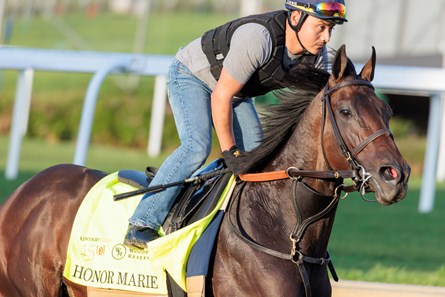 Honor Marie - Horse Profile - BloodHorse