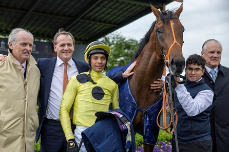 Rosallion (IRE) - Horse Profile - BloodHorse