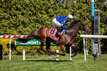 Silver Knott Wins Man o' War as the 'Other' Appleby - TrueNicks.com