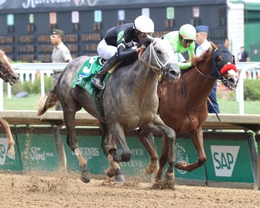 Seize the Grey - Horse Profile - BloodHorse