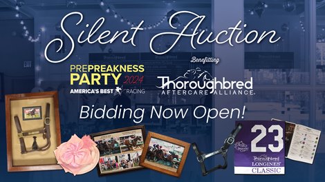 TAA Launches Silent Auction Ahead of Preakness Party - BloodHorse