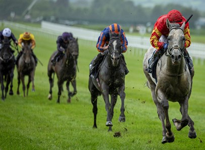 White Birch (GB) - Horse Profile - BloodHorse