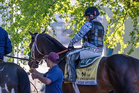 Just Steel - Horse Profile - BloodHorse