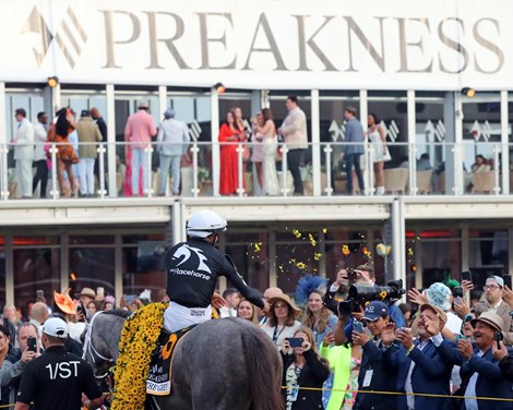 Preakness Stakes 149 - Slideshow - BloodHorse