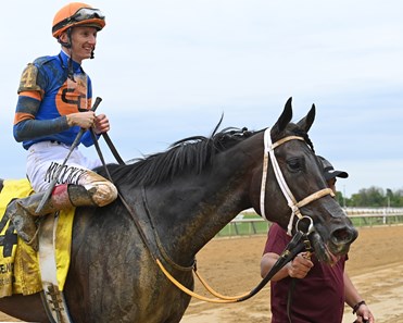 Soul of an Angel - Horse Profile - BloodHorse