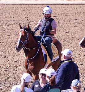 Mystik Dan - Horse Profile - BloodHorse