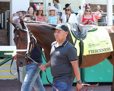 Fierceness - Horse Profile - BloodHorse