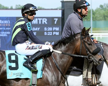 Bella Francesca - Horse Profile - BloodHorse