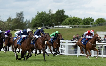 Henri Matisse (IRE) - Horse Profile - BloodHorse