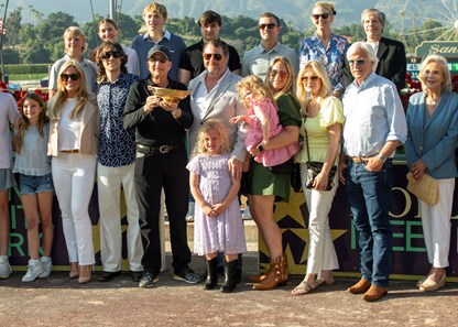 Mr Fisk - Horse Profile - BloodHorse