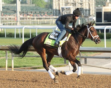 Fierceness - Horse Profile - BloodHorse