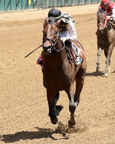 Runaway Joke - Horse Profile - BloodHorse