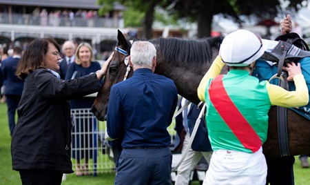 Mill Stream (IRE) - Horse Profile - BloodHorse