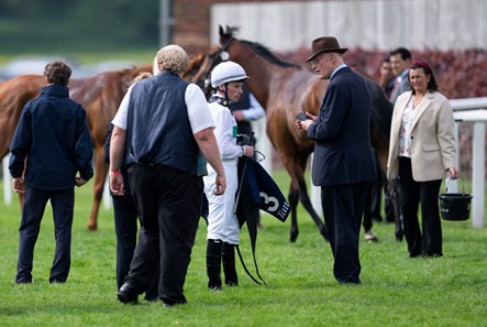 Friendly Soul (GB) - Horse Profile - BloodHorse