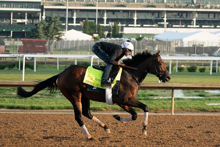 Sierra Leone - Horse Profile - BloodHorse