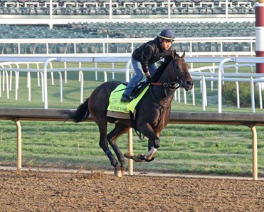 Honor Marie - Horse Profile - BloodHorse