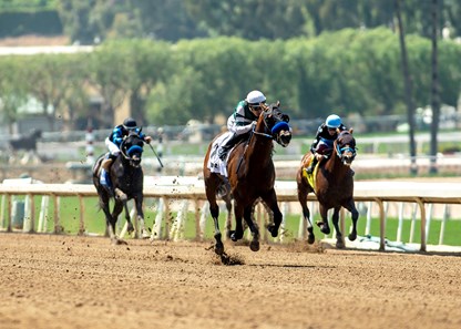 Tapalo - Horse Profile - BloodHorse