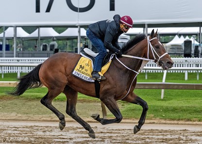 Uncle Heavy - Horse Profile - BloodHorse