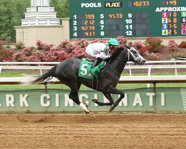 Buckeye Belle - Horse Profile - BloodHorse