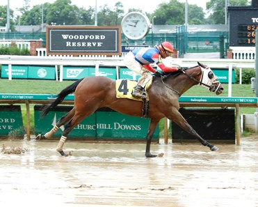 Yzzy's Bolt - Horse Profile - BloodHorse