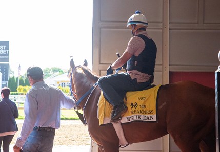 Mystik Dan - Horse Profile - BloodHorse