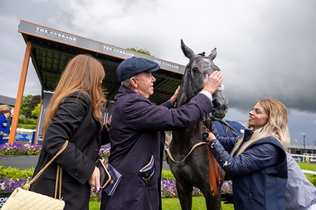 Fallen Angel (GB) - Horse Profile - BloodHorse