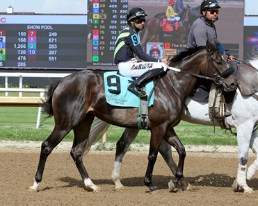 Bella Francesca - Horse Profile - BloodHorse