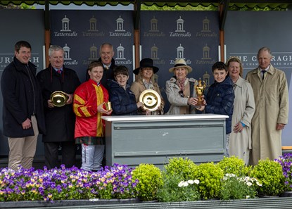 White Birch (GB) - Horse Profile - BloodHorse