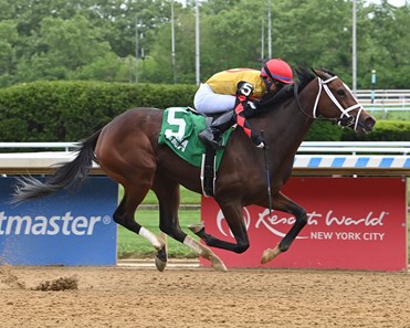 Ten Ten - Horse Profile - BloodHorse