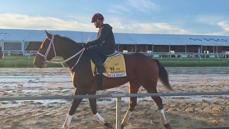 3 Things You Might Not Know About: Uncle Heavy - Video - - BloodHorse