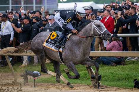 Preakness Stakes (G1): Seize the Grey - BloodHorse