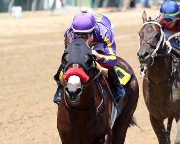 Raging Torrent - Horse Profile - BloodHorse