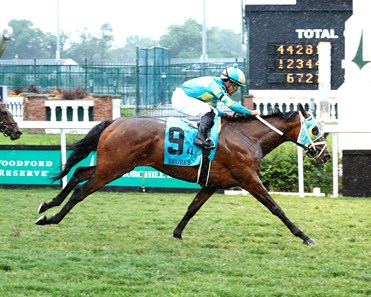 Pin Up Betty - Horse Profile - BloodHorse