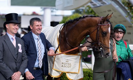 Calandagan (IRE) - Horse Profile - BloodHorse