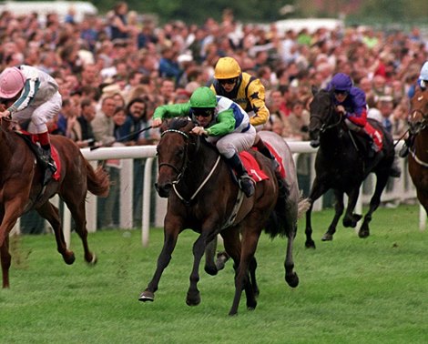 Lael Stables' Mare Superstar Leo Dies at Age 26 - BloodHorse