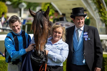 Asfoora (AUS) - Horse Profile - BloodHorse