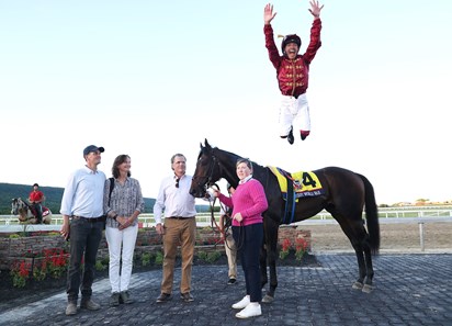 First World War - Horse Profile - BloodHorse