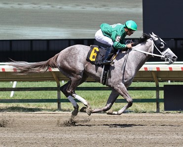 Aguas de Cristal - Horse Profile - BloodHorse
